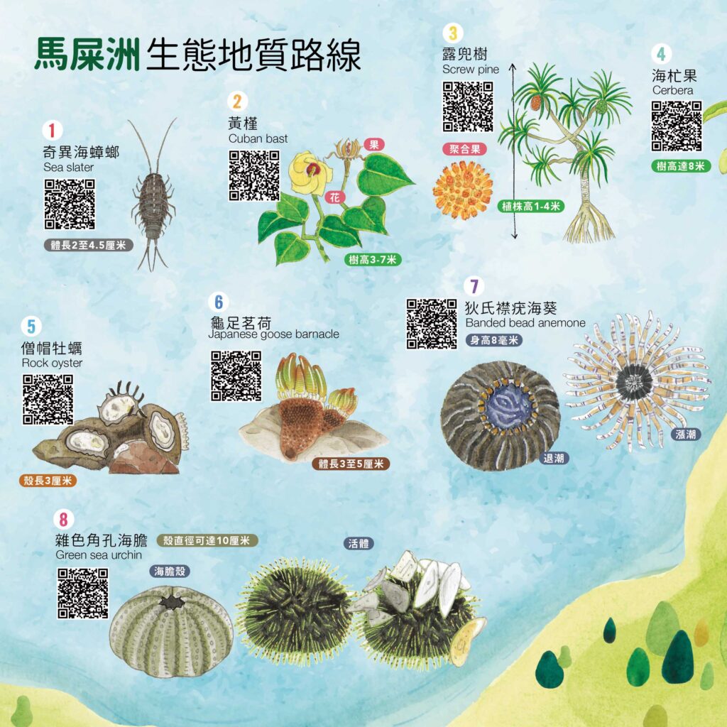 Ma Shi Chau Visual Map - Che-ting
